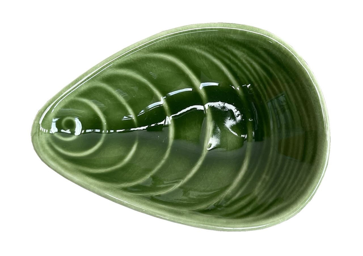 Mussel Shell Bowl - 25cm – Spacecraft Creative